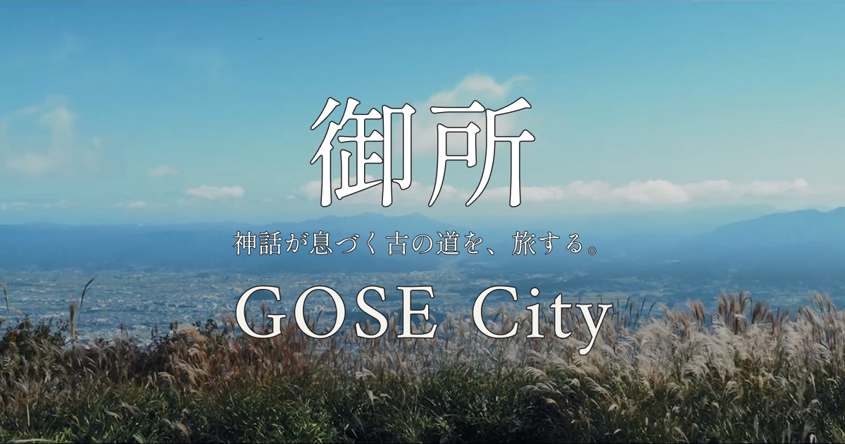 GO NARA GOSE CITY
